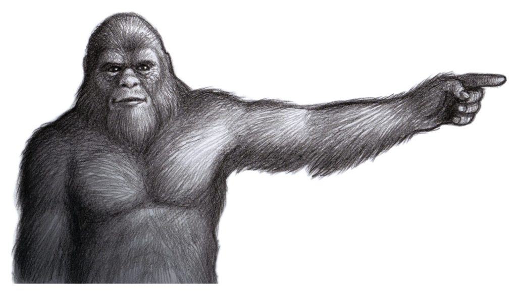 Is Sasquatch Too Controversial For Science? What Happens When ...